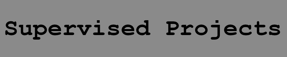 Supervised Projects